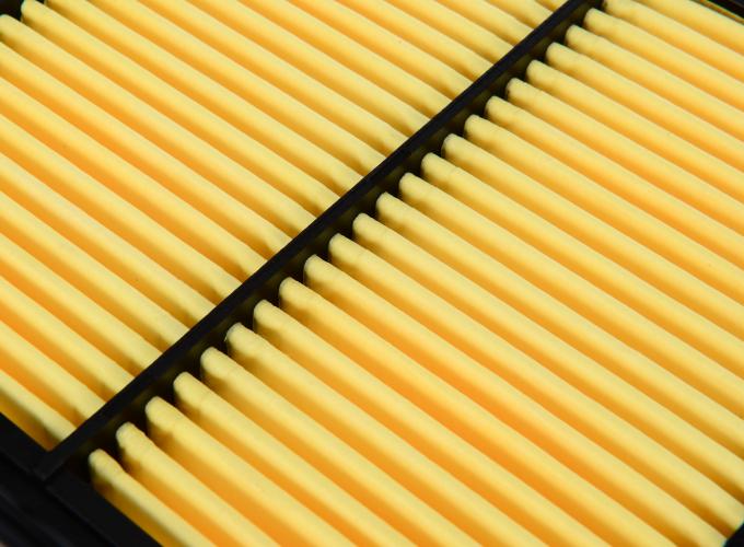 TF3 CP2 Honda Air Filter Replacement OEM 17220 - R40 - A00 2.0I Engine